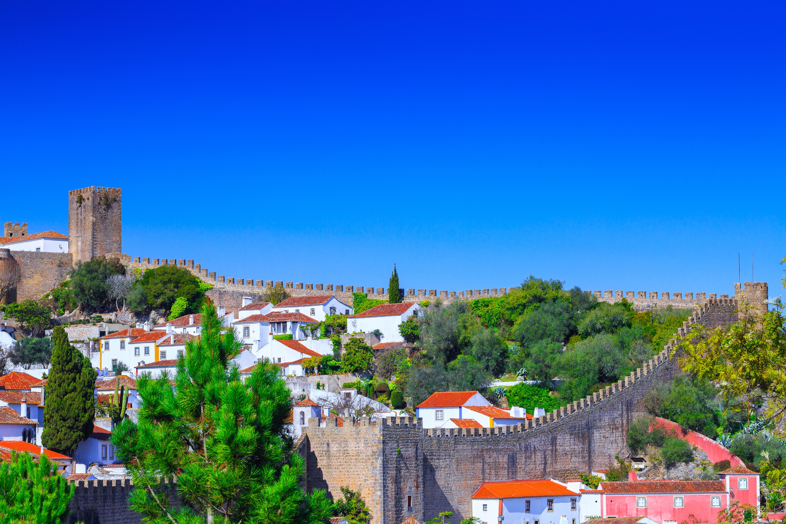 Fatima + Nazare + Obidos Private Tour (Full-Day) - Portugal Magik